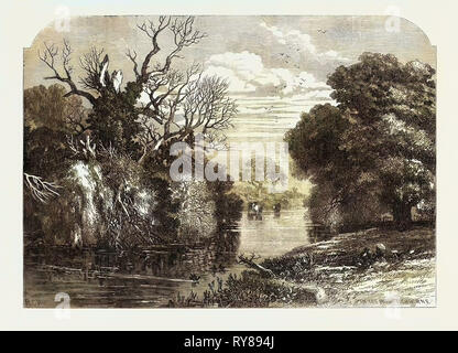 View in Tichborne Park, Alresford, Hants, 1871. The case of the ...