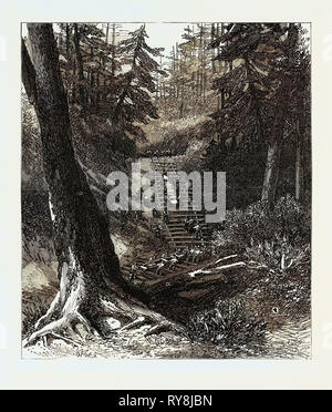 THE RED RIVER EXPEDITION: CROSSING A PORTAGE 1871 Stock Photo - Alamy