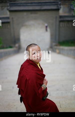 Chinese female monk posing in in buddhist temple, temple, Wutai Shan ...