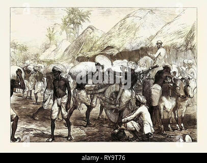 Famine in Bengal, loading grain carts, Calcutta ; Kolkata ; West Bengal ...