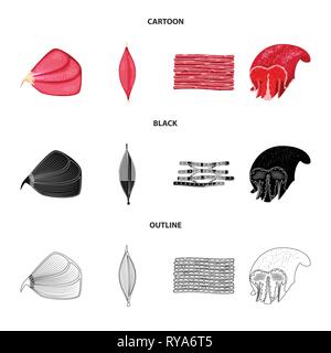 Isolated object of fiber and muscular sign. Collection of fiber and ...