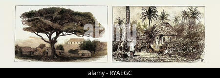 A Tongan Village, Tonga Stock Photo - Alamy