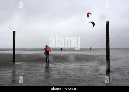 St. Peter Ording, Germany. 13th Oct, 2018. A Seriema chick enjoys the ...