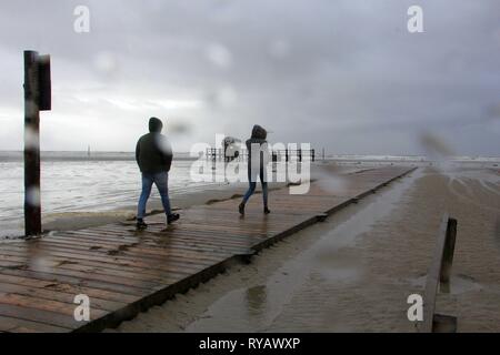 St. Peter Ording, Germany. 13th Oct, 2018. A Seriema chick enjoys the ...