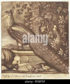 Peacocks, Jan Griffier (I), John Oliver, 1667 - 1718. Reimagined by ...