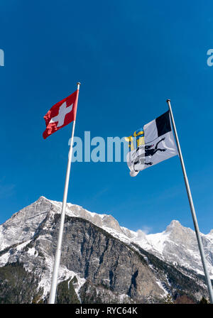 Swiss and Grisons flags in a winter mountain landscape blowing in the ...