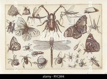 Insects, Jacob Hoefnagel, Joris Hoefnagel, Claes Jansz. Visscher (II ...