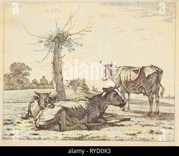 Cows at a pollard willow Stock Photo - Alamy