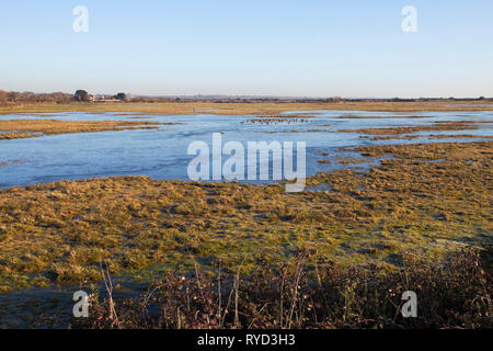 Pennington marshes Lymington Hampshire England UK with the Needles of ...
