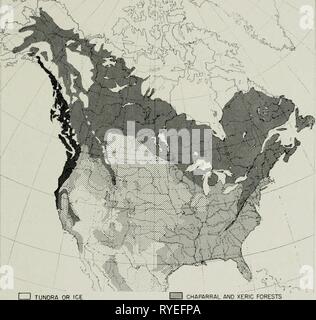 . The Dunesland heritage of Illinois Stock Photo - Alamy