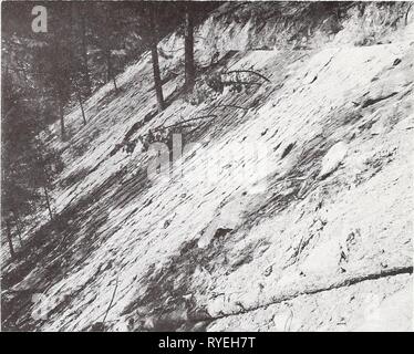 Effect of logging roads on Stock Photo - Alamy