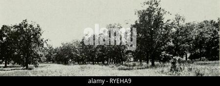 The Dunesland heritage of Illinois Stock Photo - Alamy