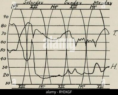 The effects of desiccating winds Stock Photo - Alamy
