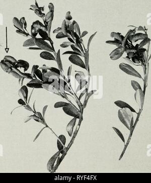 The Dunesland heritage of Illinois Stock Photo - Alamy