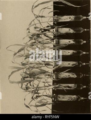 Effect of different reactions on Stock Photo - Alamy