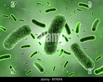 Botulism bacteria. Illustration of botulism bacteria (Clostridium ...