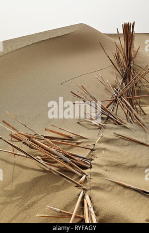 Straw checkerboard sand control barriers. Hotan prefecture-Xinjiang ...