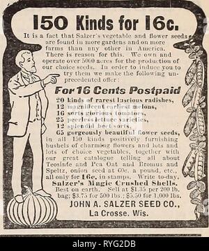 Illustration picture shows the New Year's Eve celebrations, Monday 01 ...