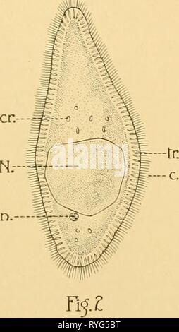 The effects of inanition and Stock Photo - Alamy