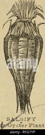 E Annabil & Co's seed Stock Photo - Alamy