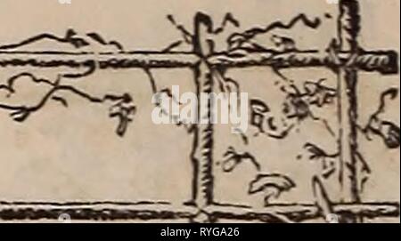 Image from page 299 of 'Rock Villages of the Riviera . With sixty ...