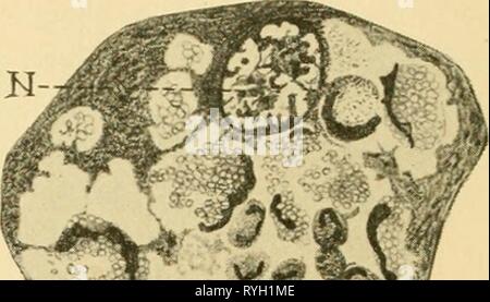 The effects of inanition and Stock Photo - Alamy