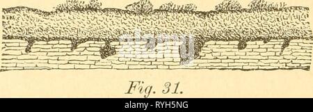Illustration picture shows the limestone quarry on the On-Jemelle site ...