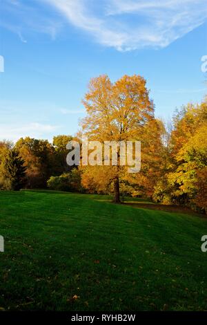 See all four seasons beautifully represented in the same scene Stock ...