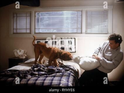 TOM HANKS, DOG, TURNER and HOOCH, 1989 Stock Photo - Alamy