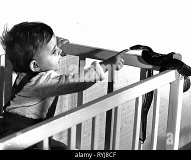 people touch snake Stock Photo - Alamy