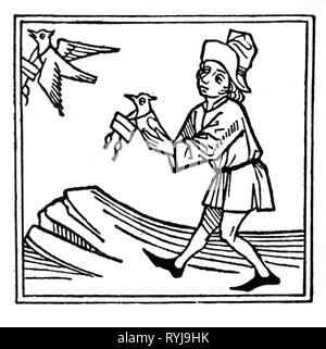 15TH CENTURY BIRDS Stock Photo - Alamy