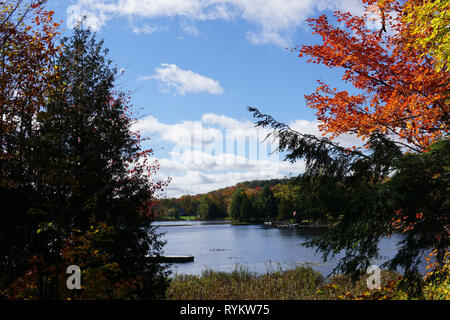 Fall Colours in Muskoka Stock Photo - Alamy