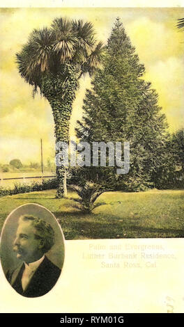 Luther Burbank Home and Gardens in California Stock Photo - Alamy