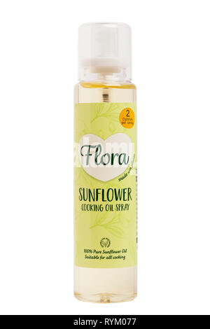 Detail shot of a sunflower on a white background Stock Photo - Alamy