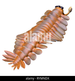 swimming Opabinia regalis, prehistoric aquatic animal from the Cambrian ...