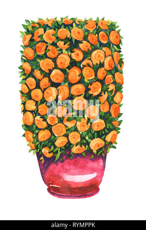 Mandarin Tree for Chinese New Year iseolate red background. 3D ...