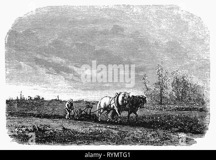 agriculture, ploughing, farmer with plough, drawing after medieval ...