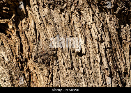 Background and Backstop Stock Photo - Alamy