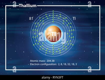 Thallium atom, with mass and energy levels. Vector illustration Stock ...