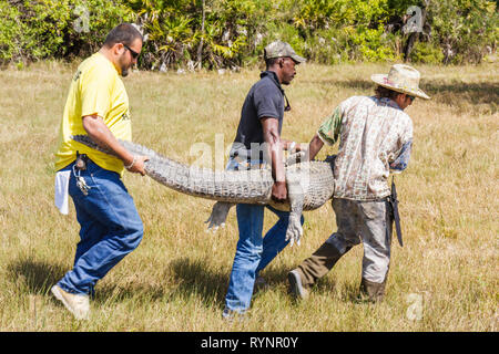 Florida Hendry County,Big Cypress,Seminole Indian Reservation,Billie ...
