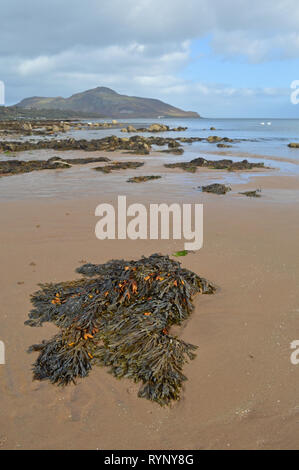 Whiting Bay and beach at Kiscadale Isle of Arran Stock Photo - Alamy
