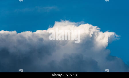 Massive white cumulus cloud formation rising dramatically against a ...