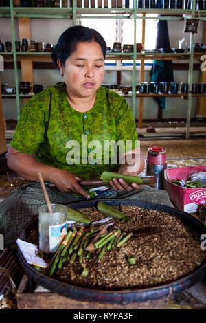 Burmese woman making traditional cheroot cigar, Inle lake, Shan state ...