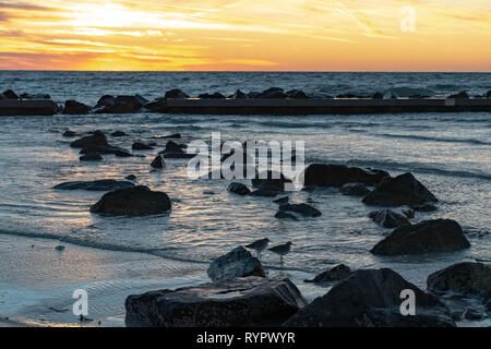 a beautiful sunset among the clouds and birds Stock Photo - Alamy