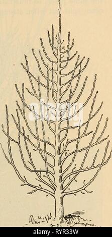 Image from page 62 of '[Principles of Geology ... Reprinted from the ...