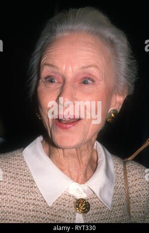Jessica Tandy 1990 Photo By John Barrett/PHOTOlink Stock Photo - Alamy