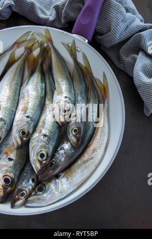 The Mediterranean horse mackerels in the pan (Black Sea horse mackerel ...