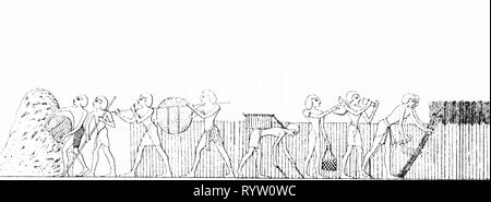 agriculture,farm labour,field,working with scythes,after Anglo-Saxon ...