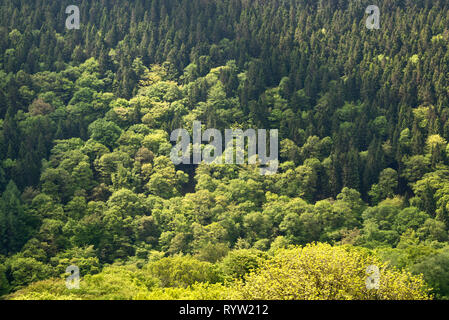 the view from Draydon Rails looking across to Draydon Woods near ...