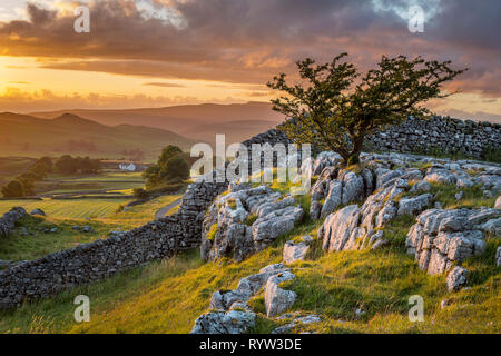 Winskill Stones, Ribblesdale, Yorkshire Dales National Park, England ...